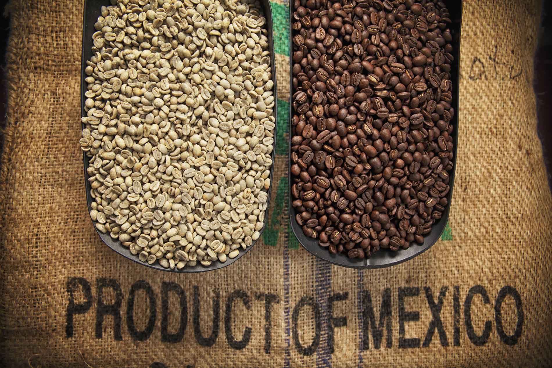Where does Mexico export its goods? – LATAM PRO